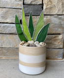 AR Workshop Edmond - Painting Wood Sign Studio and DIY Workshop