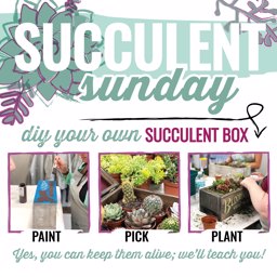 Succulent Sunday Centerpiece Box Workshop {Specialty}