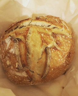 Intro to Sourdough Bread Making